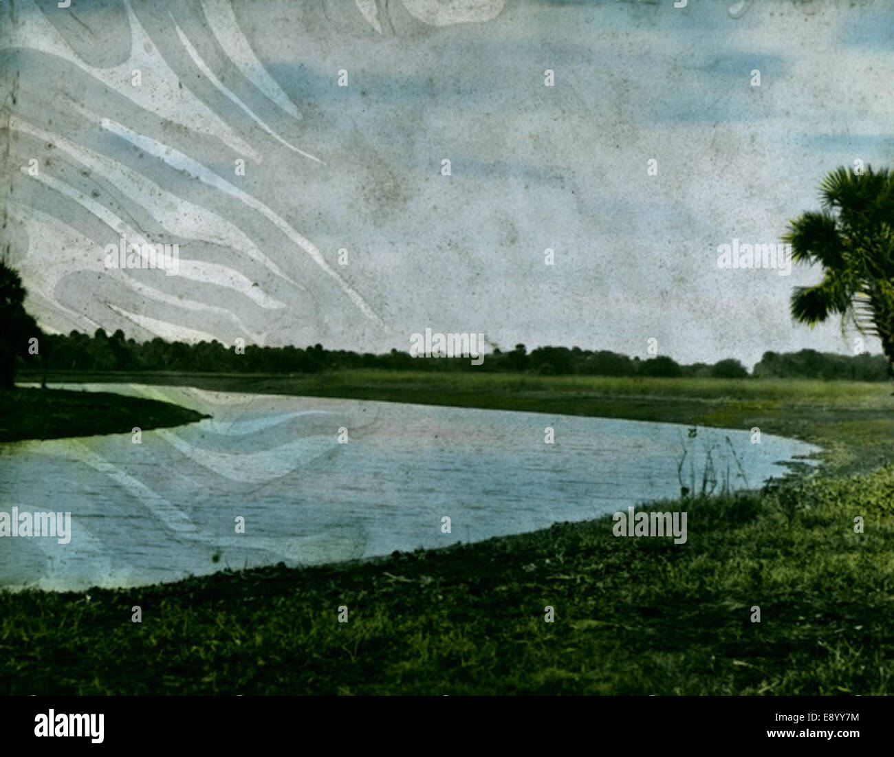 A photograph of a river in Florida, showcasing the natural beauty and ...