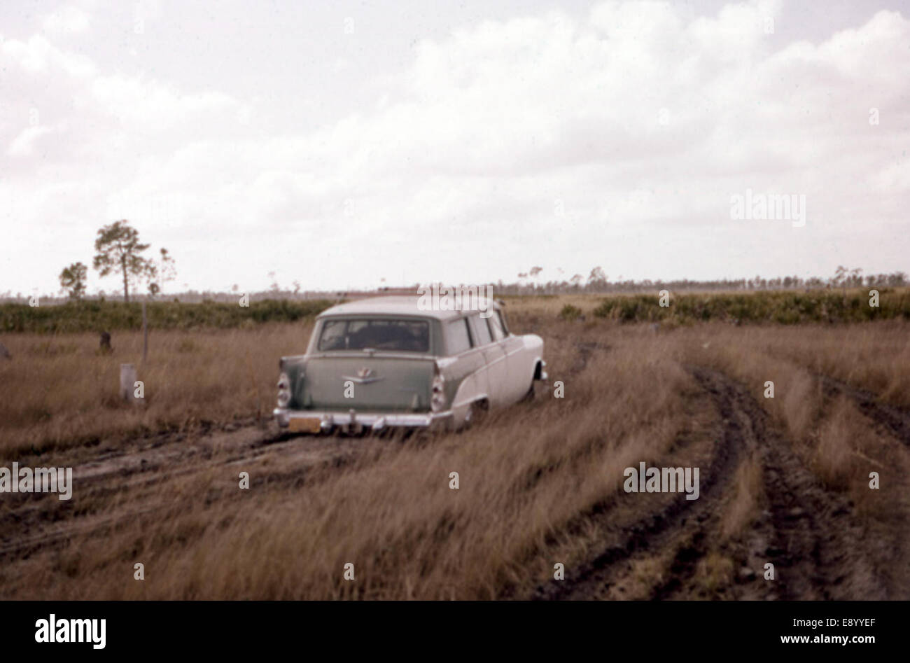 The Dodge Sierra wagon is seen stuck on Whitehead Ranch in Lee County ...