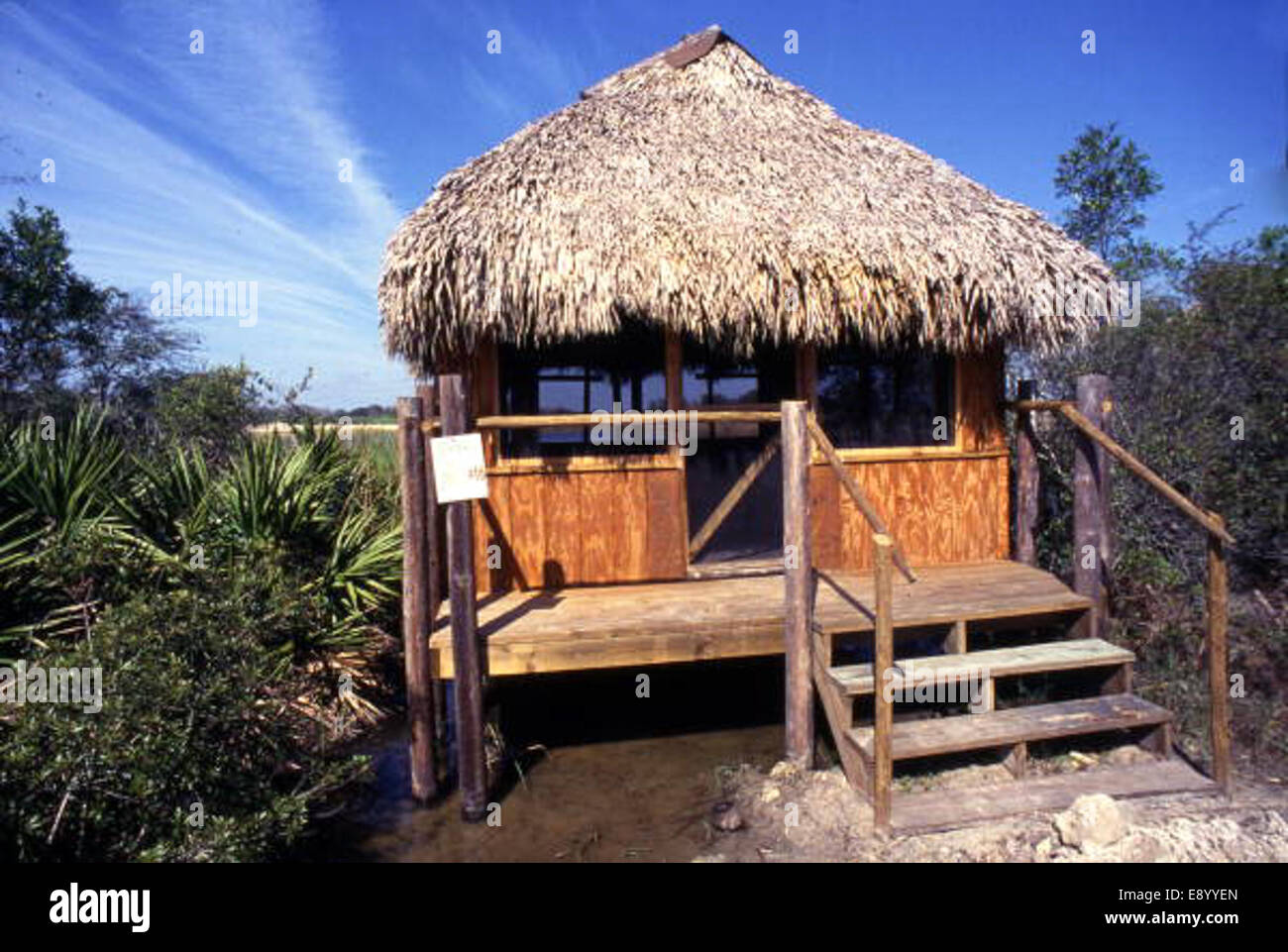 A photograph of a dormitory chickee hut at the Billie Swamp Safari ...