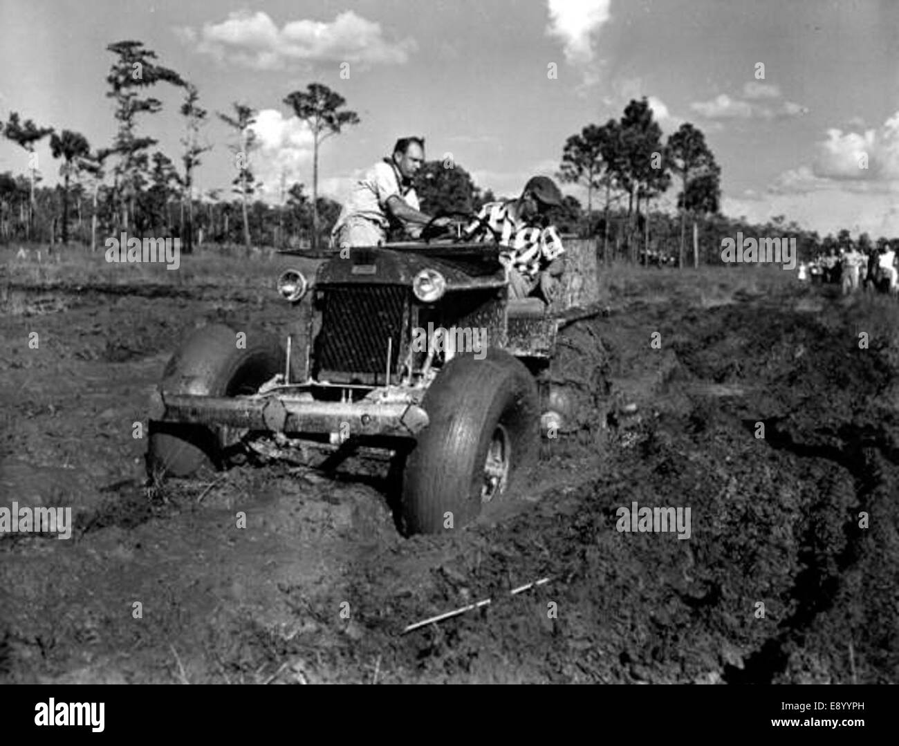 Photograph of the swamp buggy race in Naples, Florida. The image shows ...