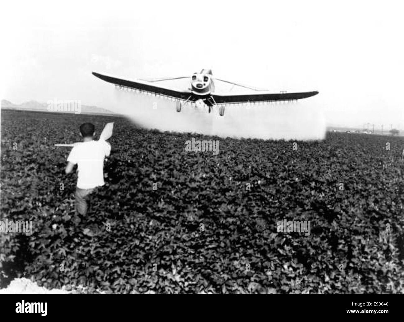 This photograph depicts a Piper aircraft performing crop dusting ...