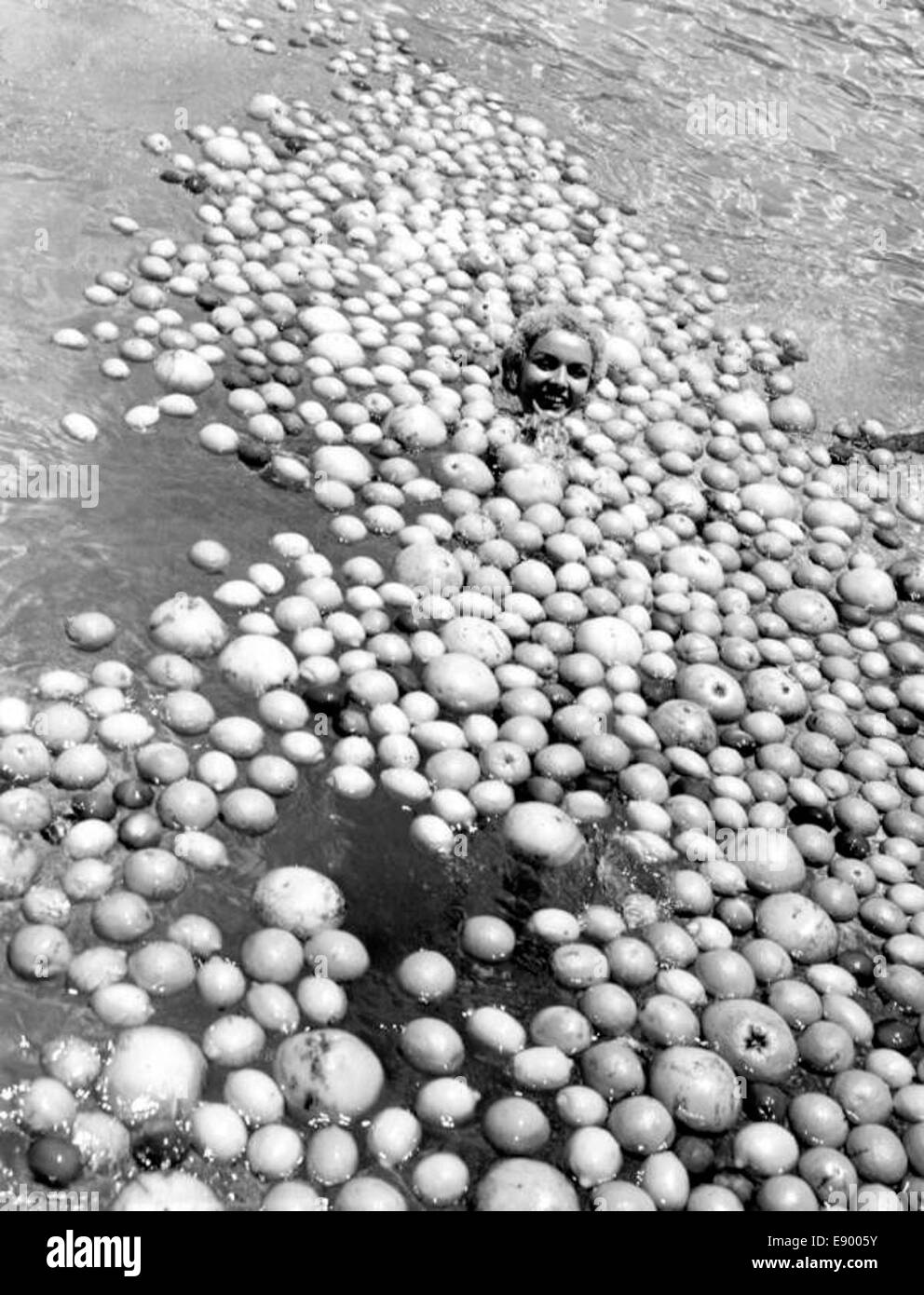 This image features Sharon Conrad swimming among a vibrant display of ...