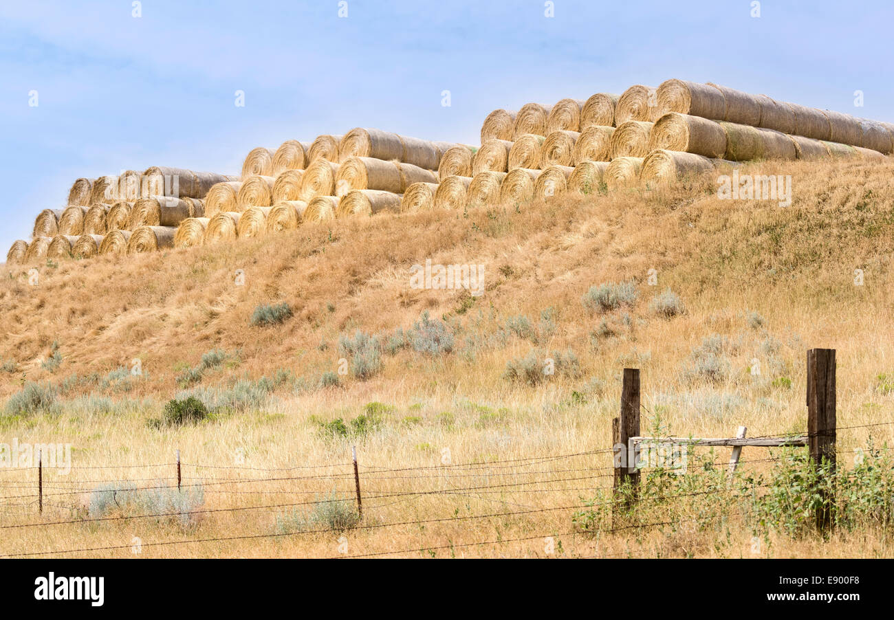 Bales of hay on the top of a ridge surrounded by bush land and prairie ...