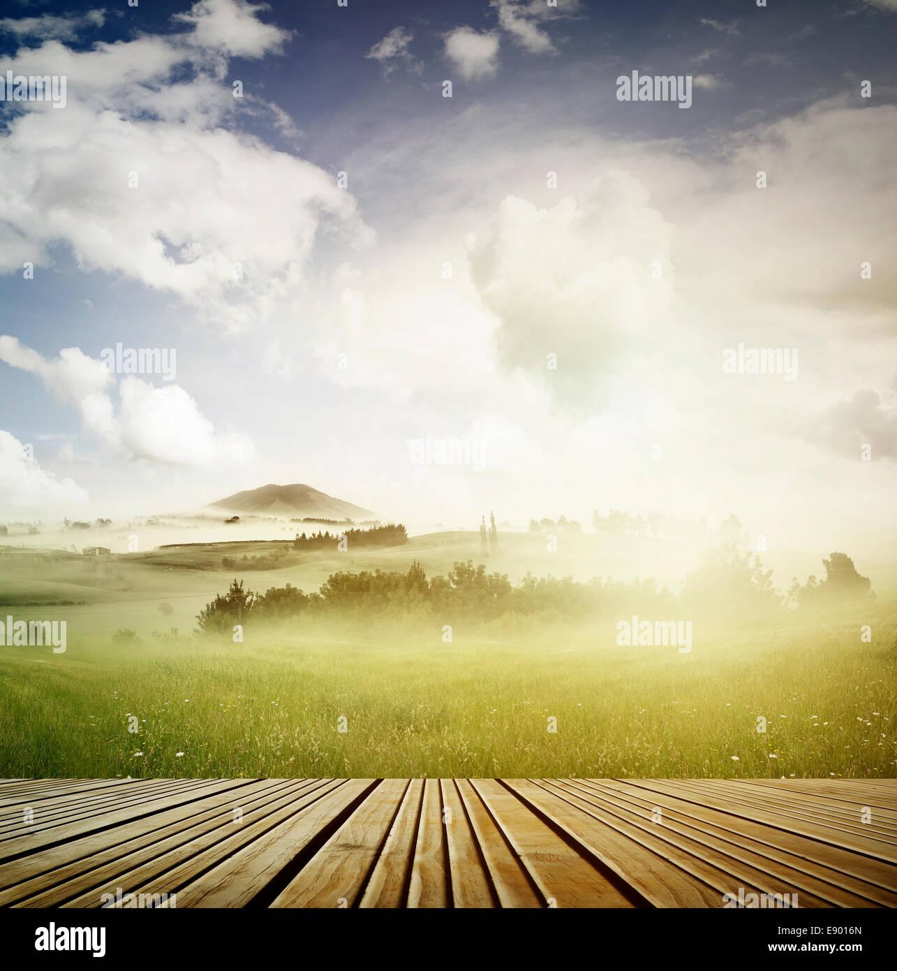 Beautiful New Zealand spring scene Stock Photo - Alamy