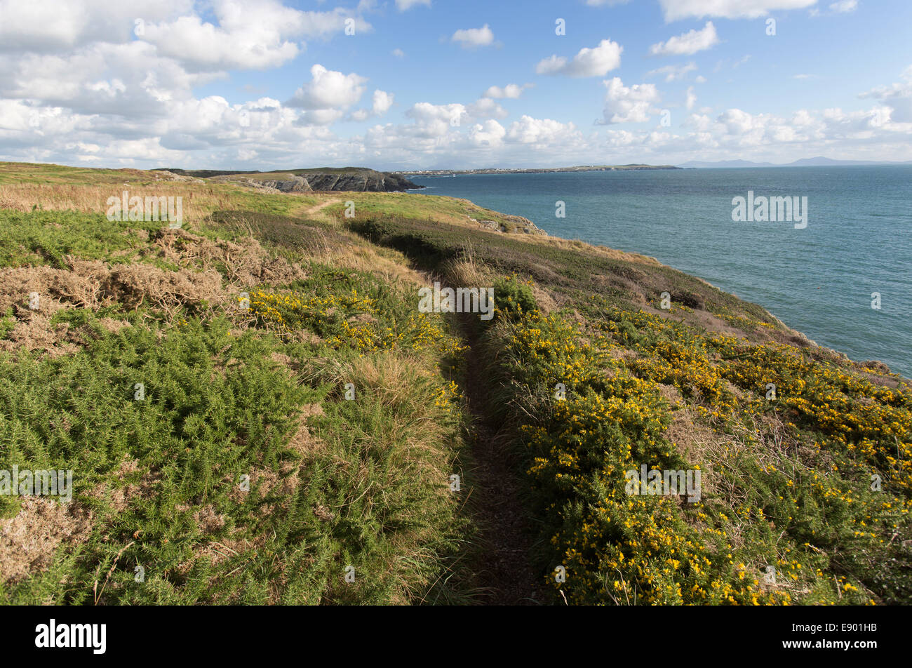 The Wales Coastal Path in North Wales. Picturesque view of the coastal ...