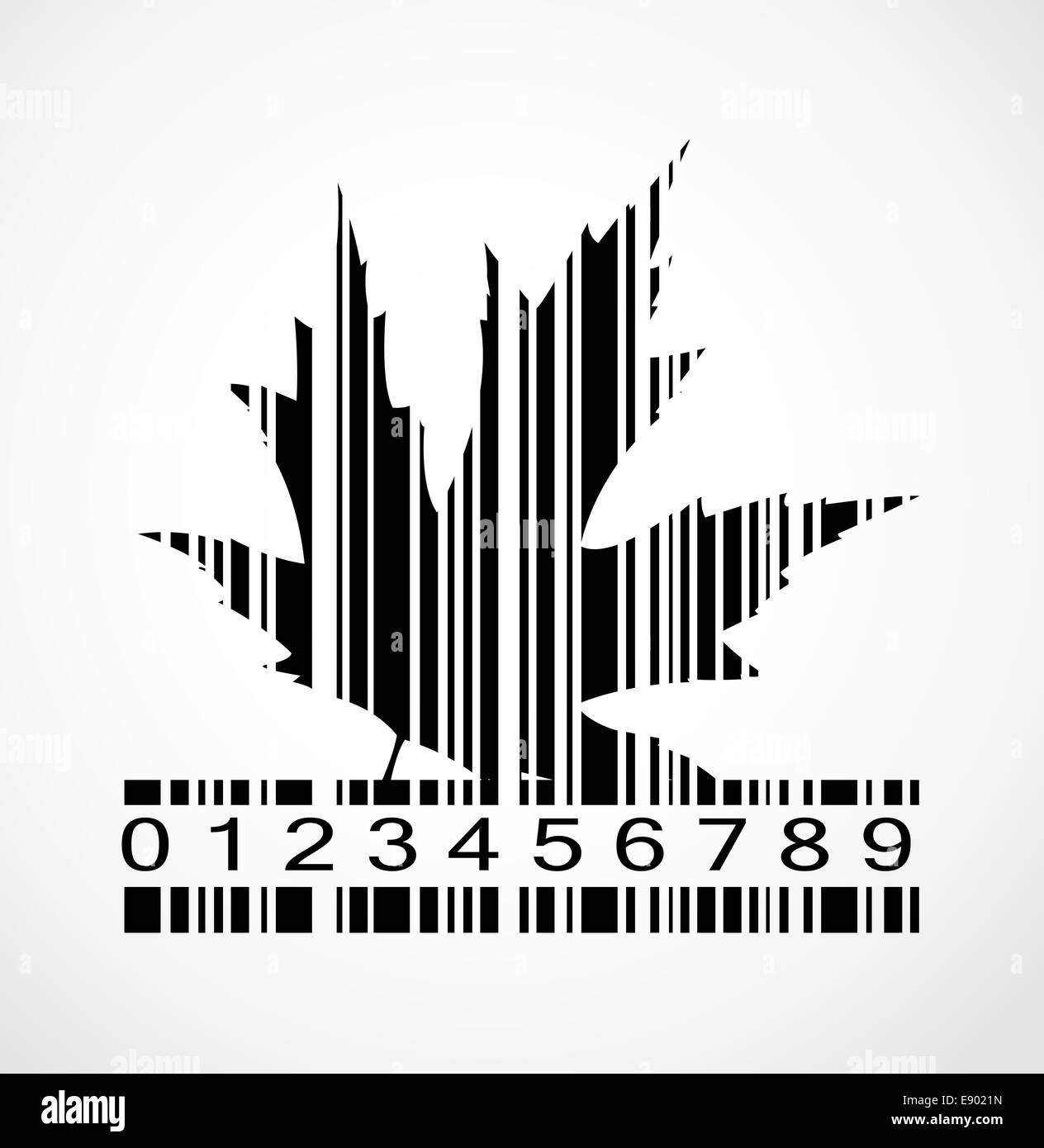 Barcode Autumn Maple Leaf Image Vector Illustration Stock Photo - Alamy