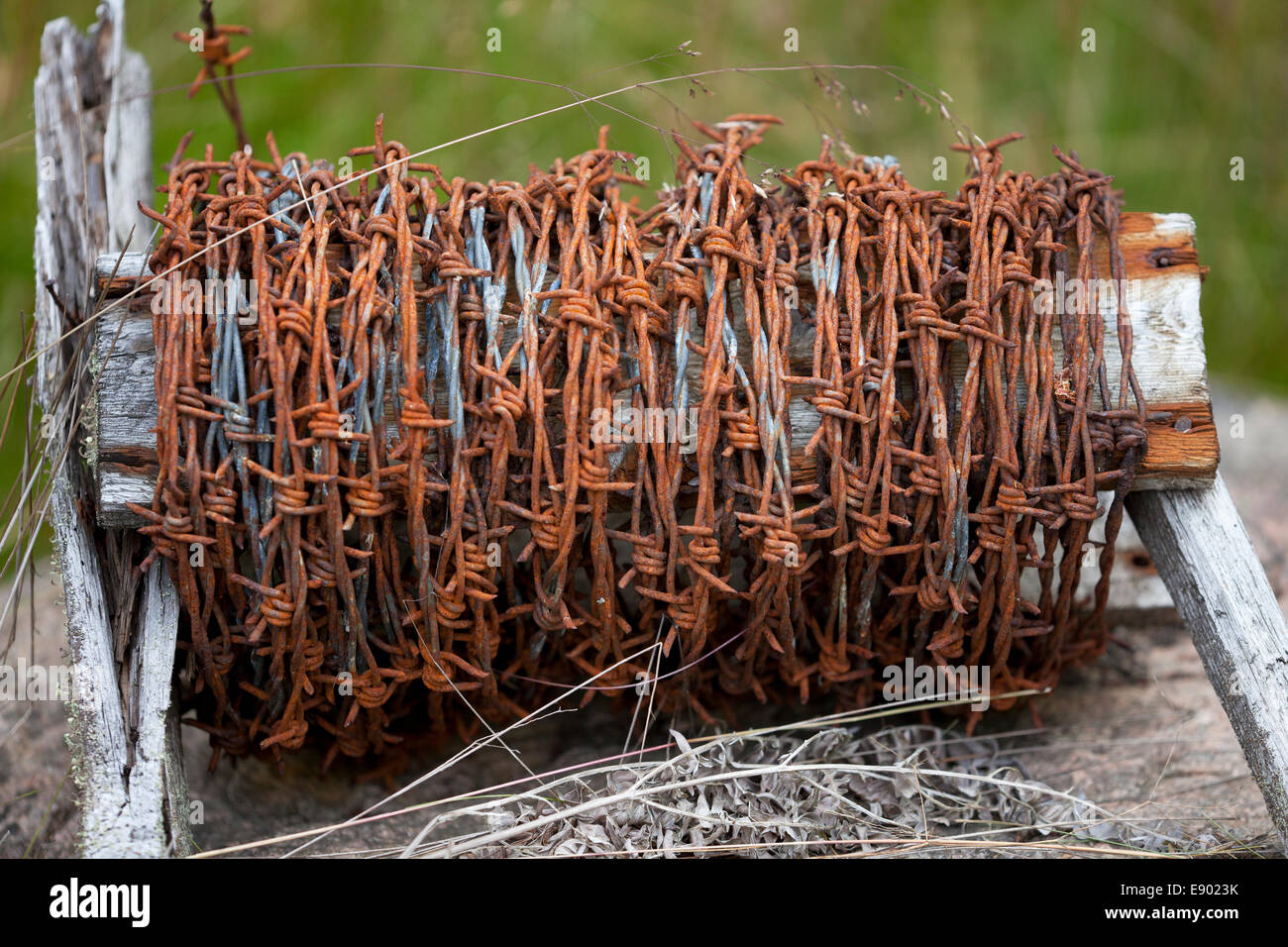 Rusty barbed wire on a roll Stock Photo - Alamy