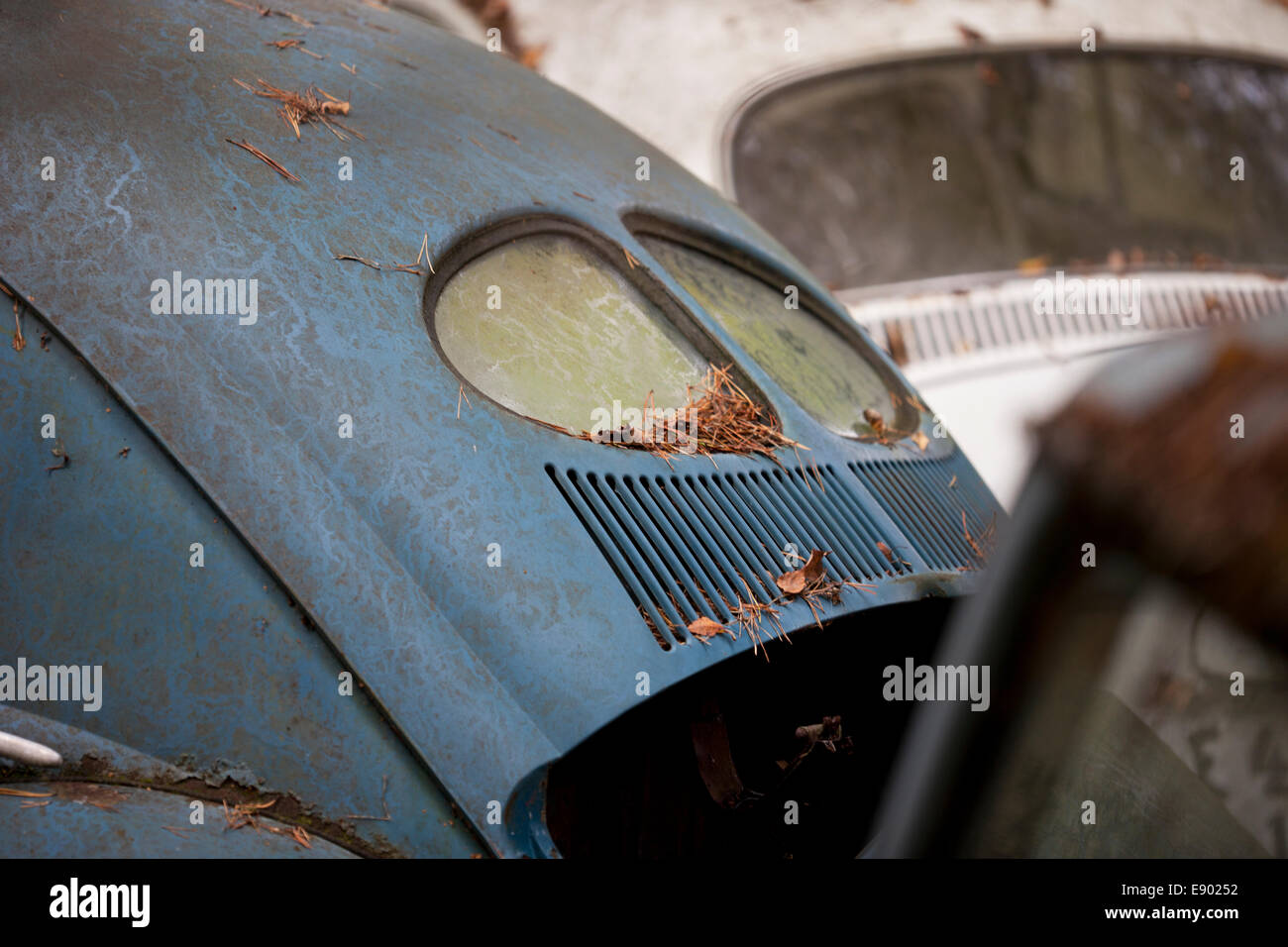 Old cars that are rusting in a forest among old houses Stock Photo - Alamy