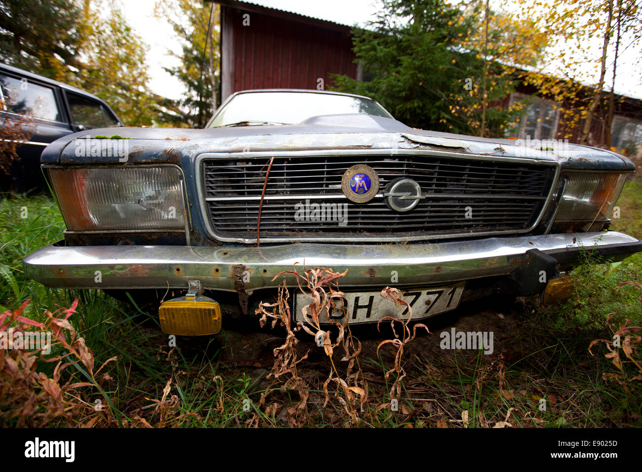 Old cars that are rusting in a forest among old houses Stock Photo - Alamy