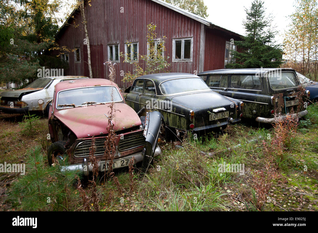Old cars that are rusting in a forest among old houses Stock Photo - Alamy