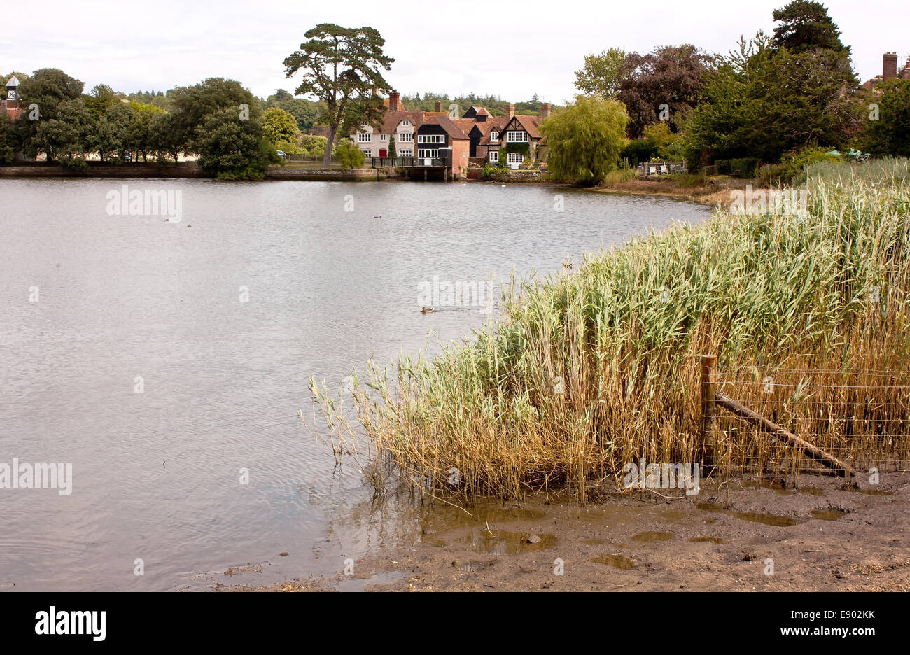 A view of the lake at Beaulieu in the New Forest Stock Photo - Alamy