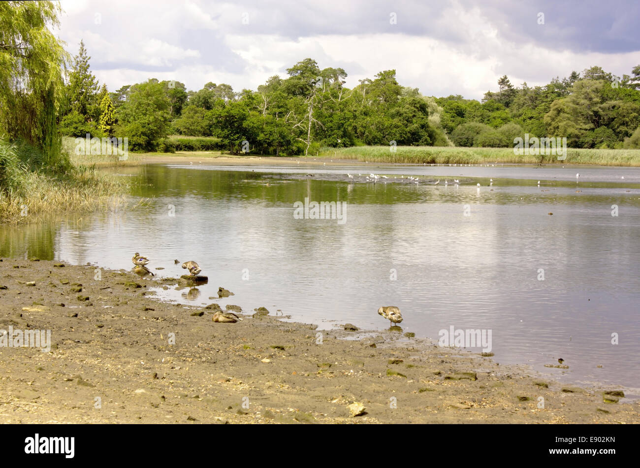 Beaulieu lake hi-res stock photography and images - Alamy