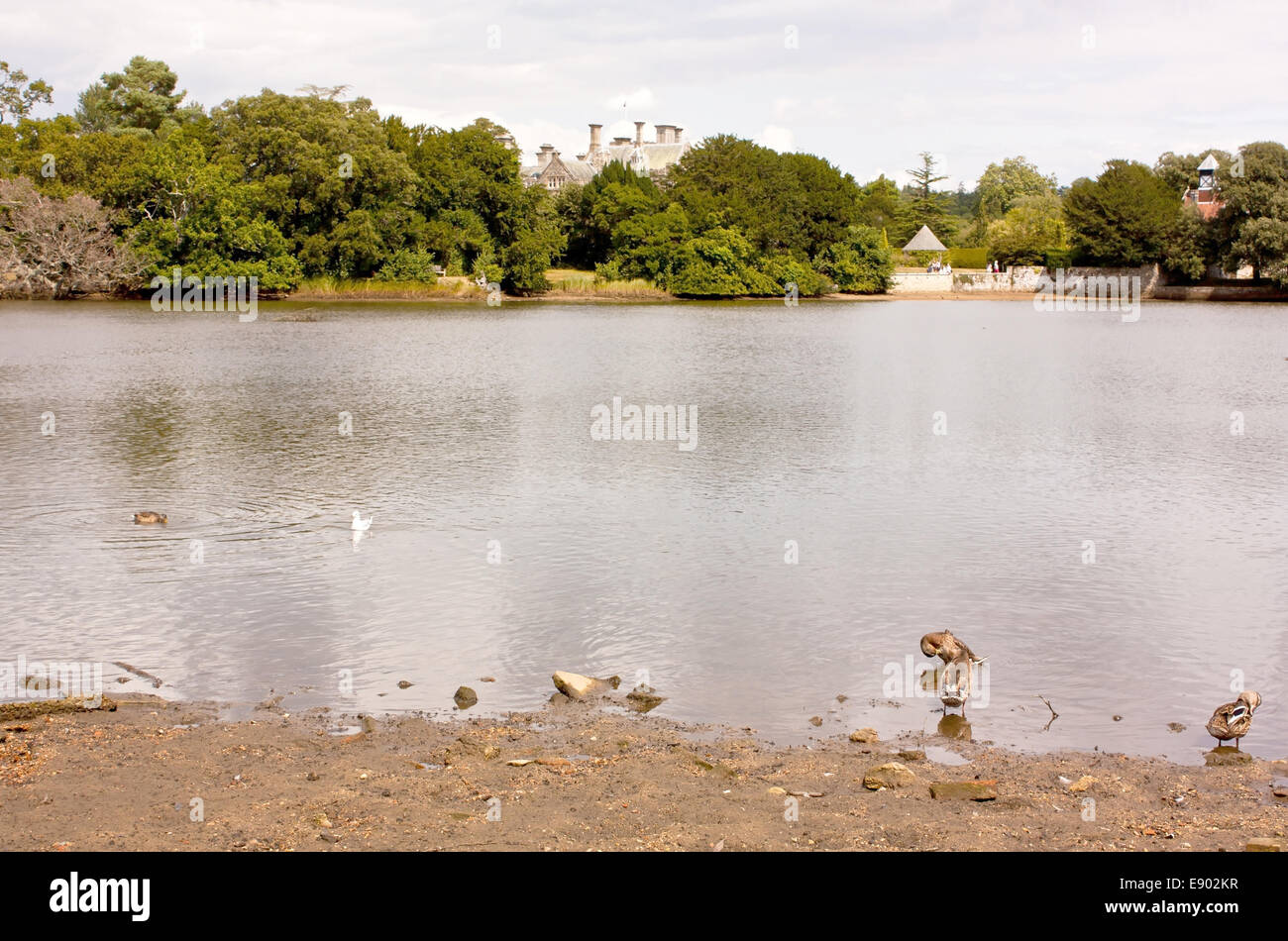 A view of the lake at Beaulieu in the New Forest Stock Photo - Alamy