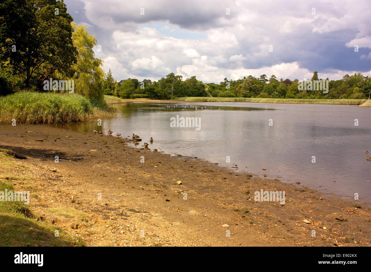 Beaulieu lake hi-res stock photography and images - Alamy