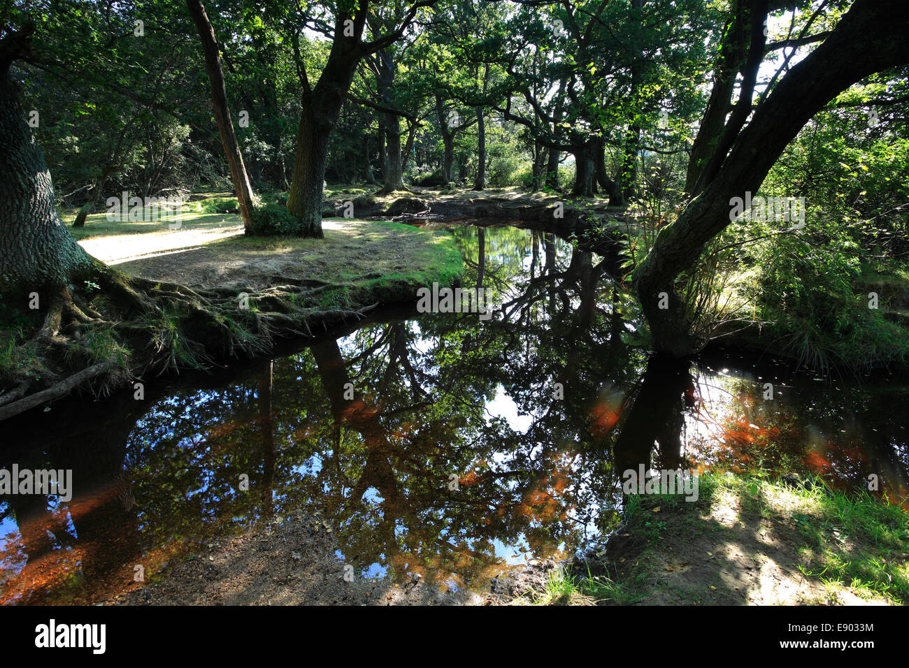 Ober Water, White Moor, New Forest National Park; Hampshire County ...