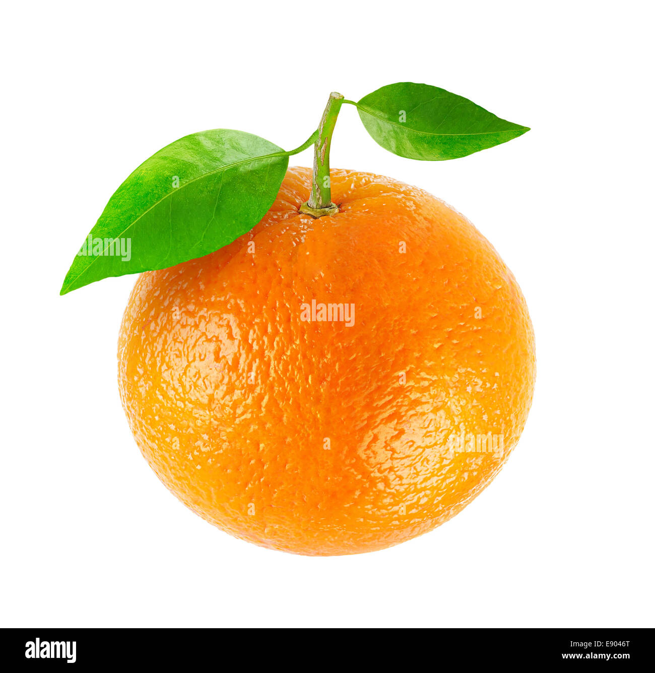 Orange isolated on white Stock Photo - Alamy