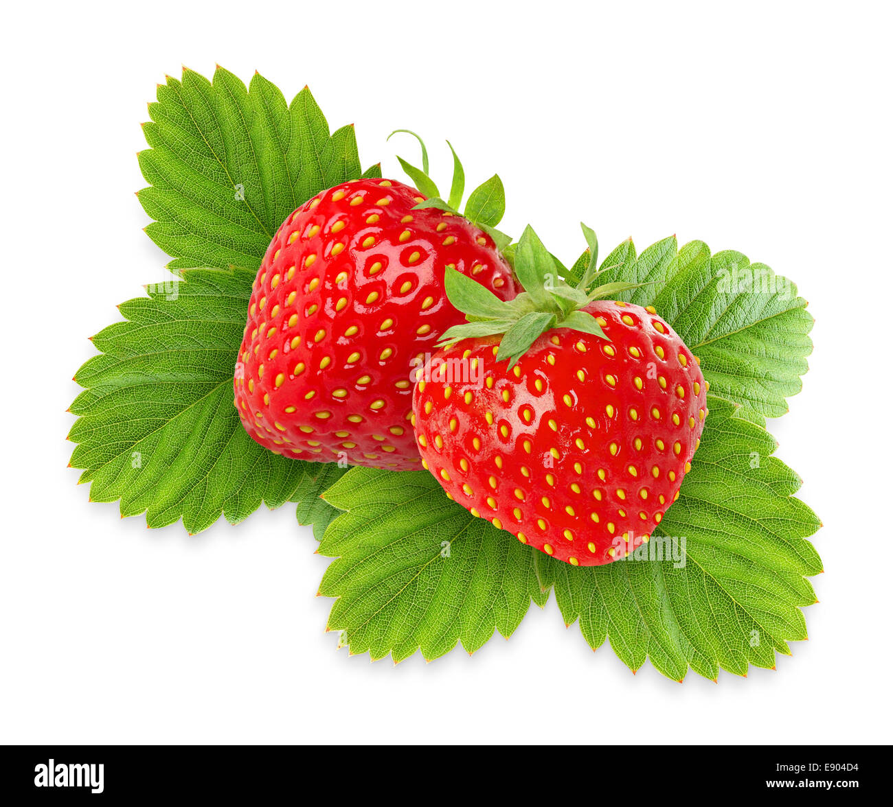 Two strawberries with leaves isolated on white Stock Photo - Alamy