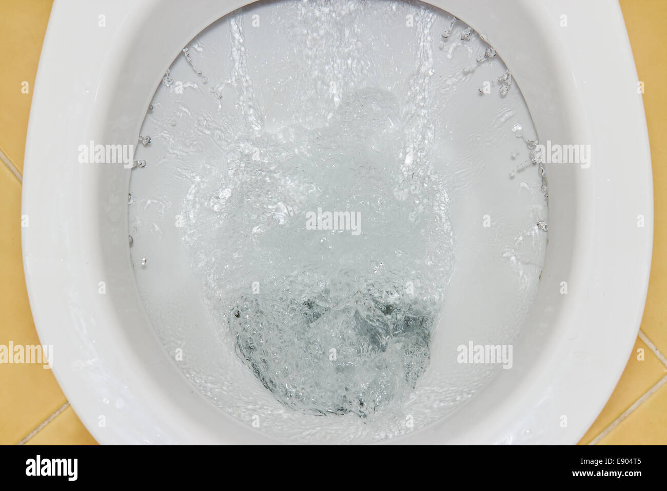 Flushing toilet hi-res stock photography and images - Alamy
