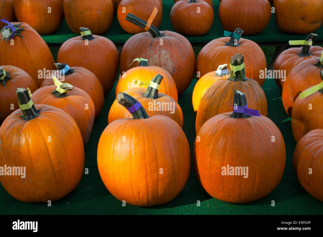 Ornamental pumpkins on market hi-res stock photography and images - Alamy