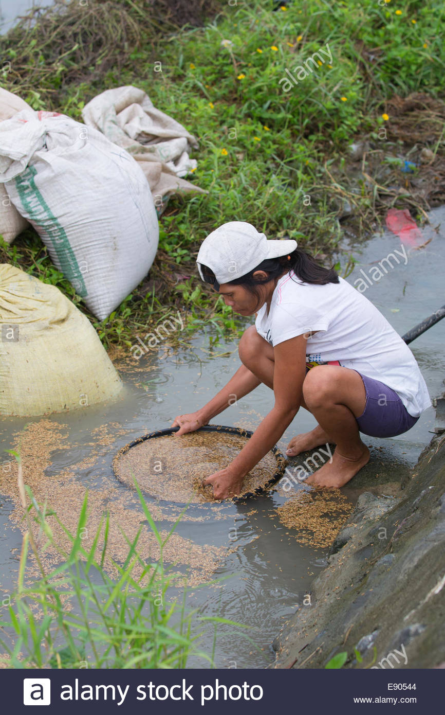Filipino Rice Stock Photos & Filipino Rice Stock Images - Alamy