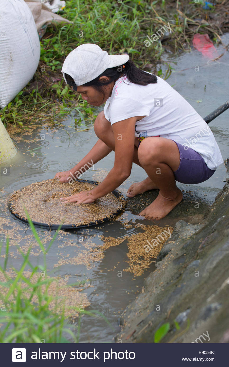 Filipino Rice Stock Photos & Filipino Rice Stock Images - Alamy