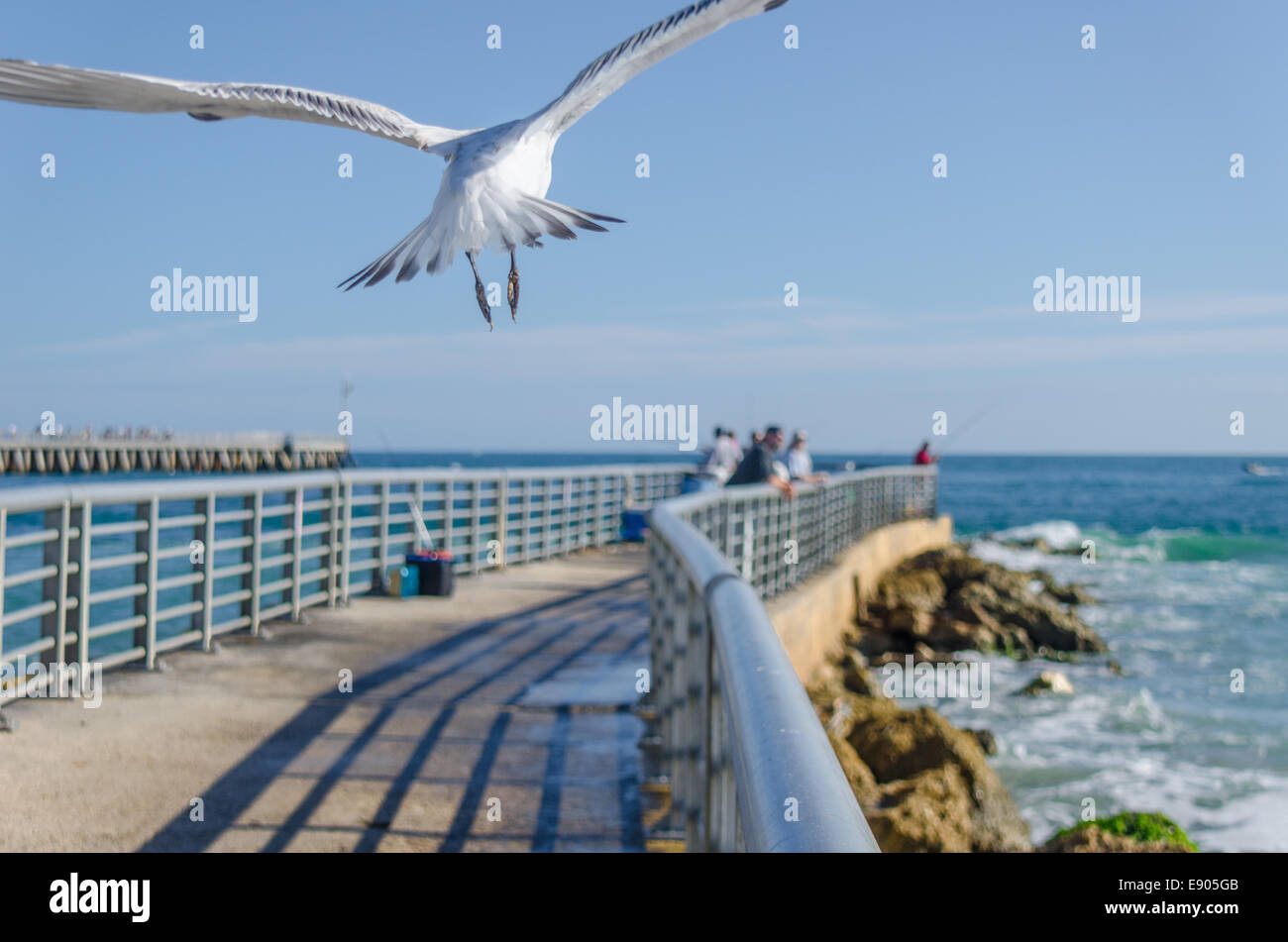 Seagull And Fishing Jetty Stock Photo - Alamy
