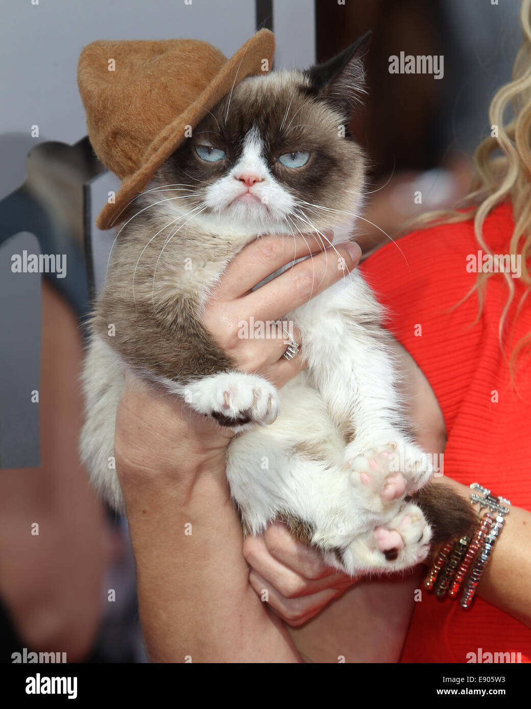The 23rd Annual MTV Movie Awards at Nokia Theatre on April 13, 2014 in ...