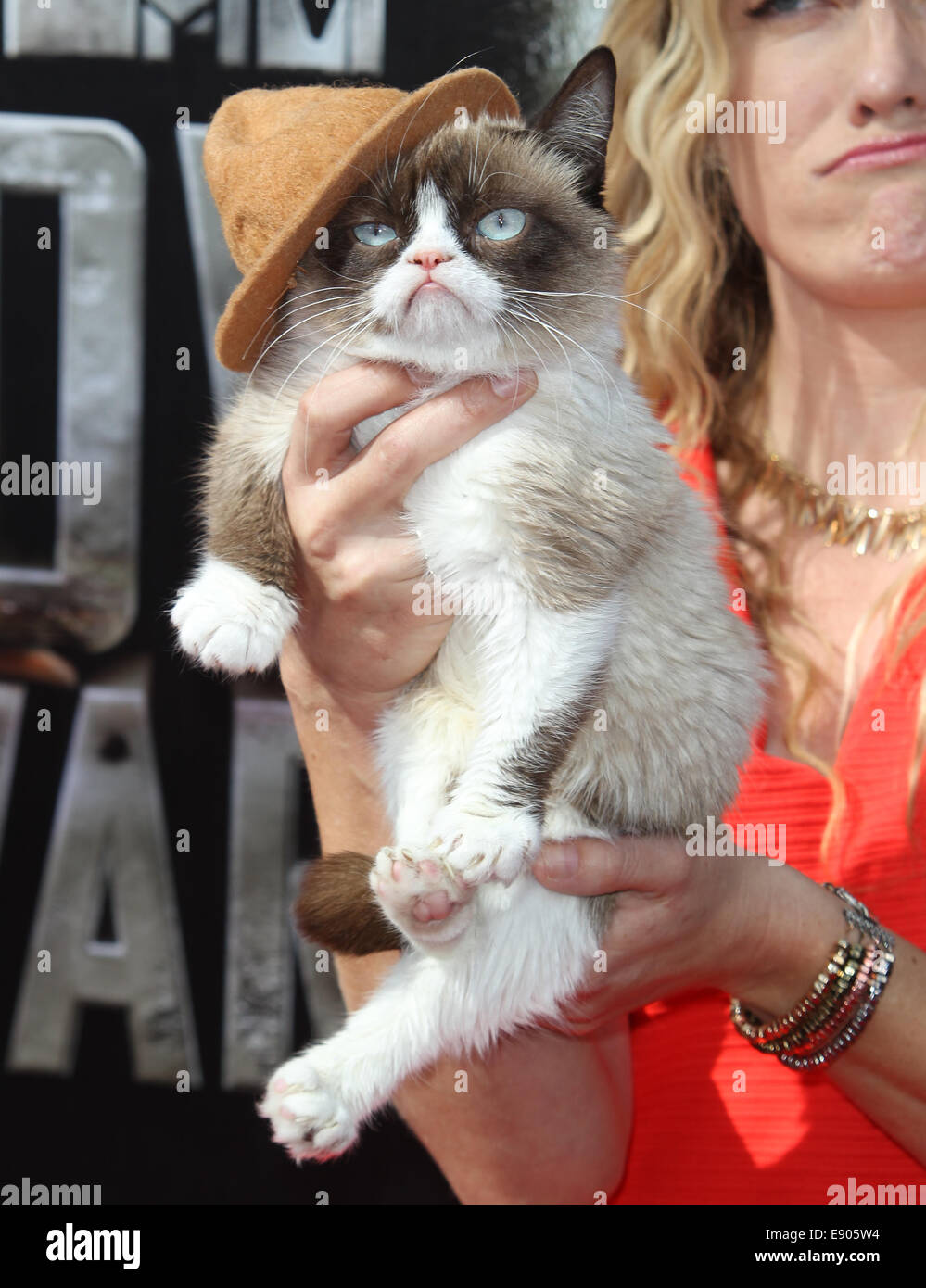 The 23rd Annual MTV Movie Awards at Nokia Theatre on April 13, 2014 in ...