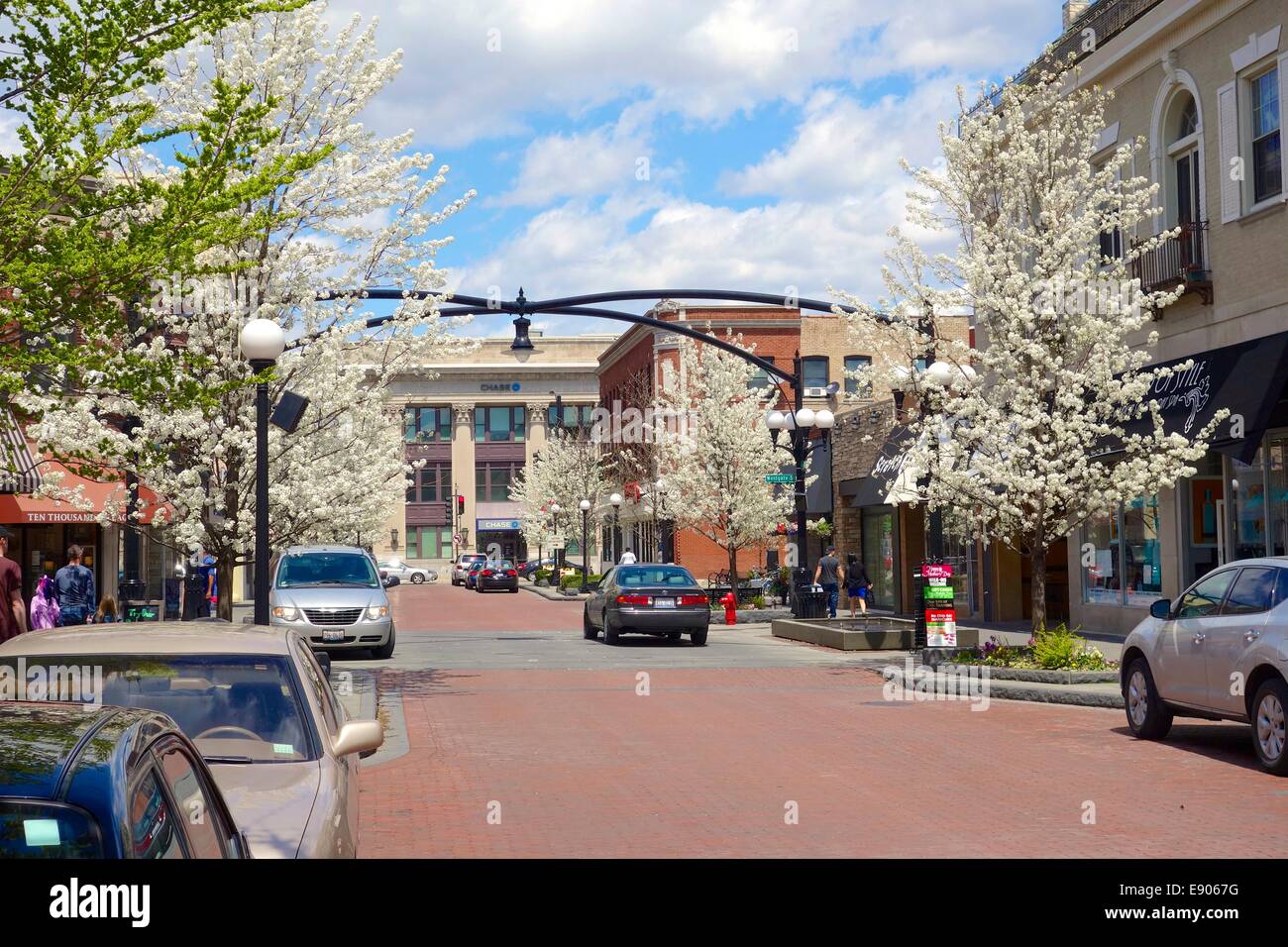 Downtown Oak Park Illinois, Marion Street in spring Stock Photo - Alamy