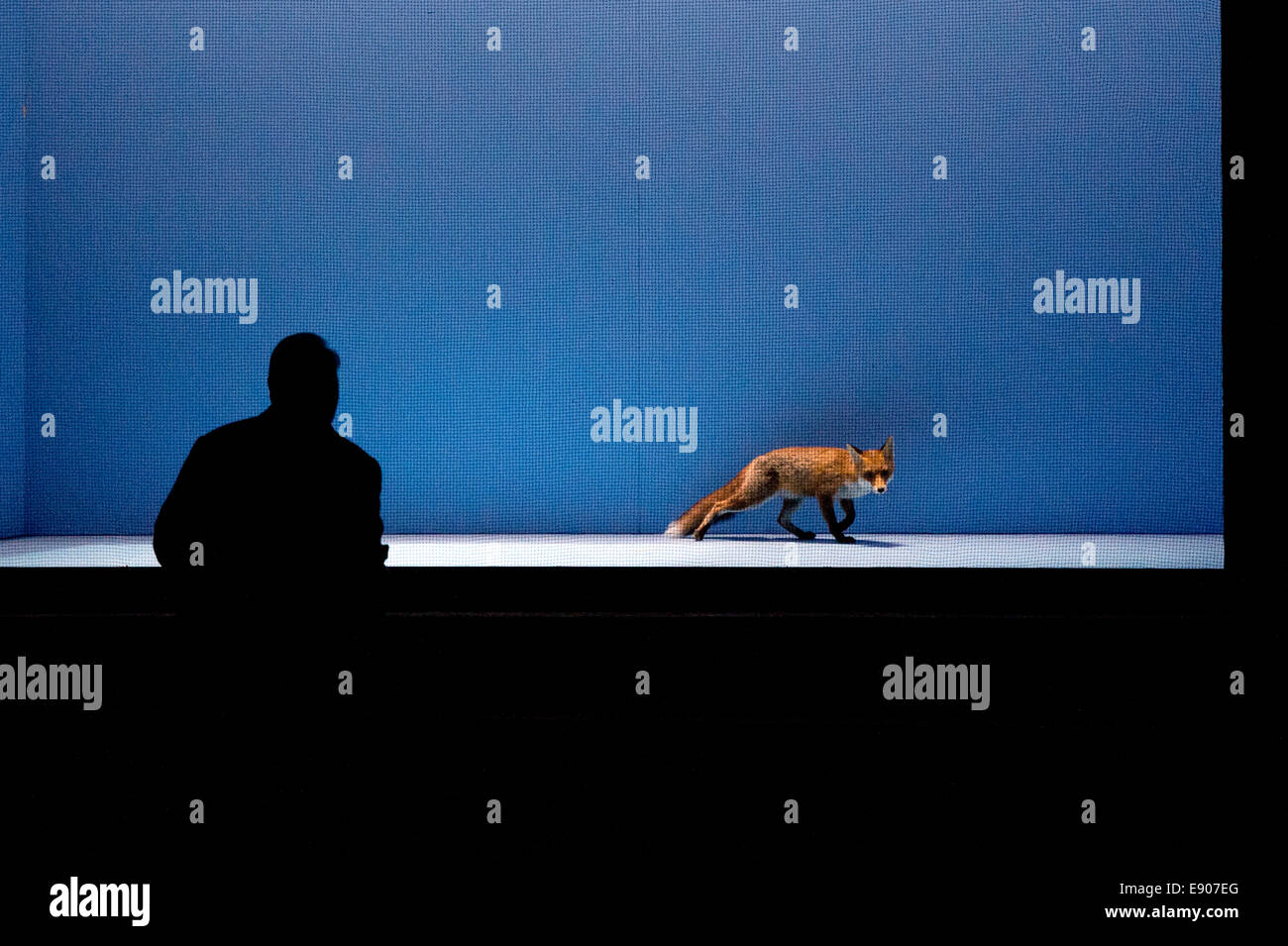 Little sergei hi-res stock photography and images - Alamy