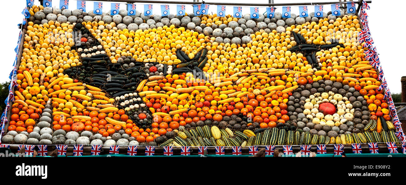 A collage display of pumpkins and squash Stock Photo - Alamy