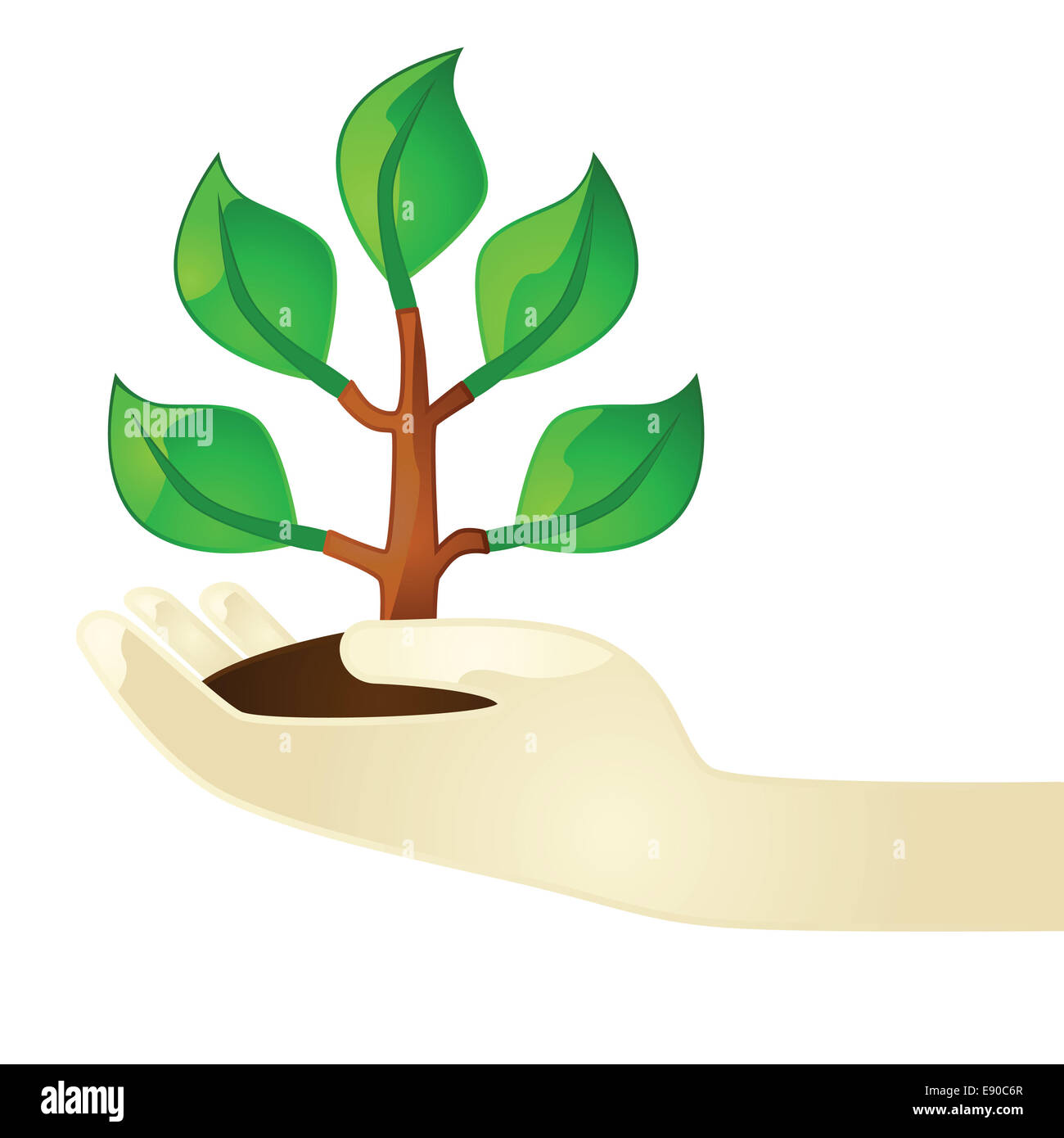 Hand holding tree Stock Photo - Alamy