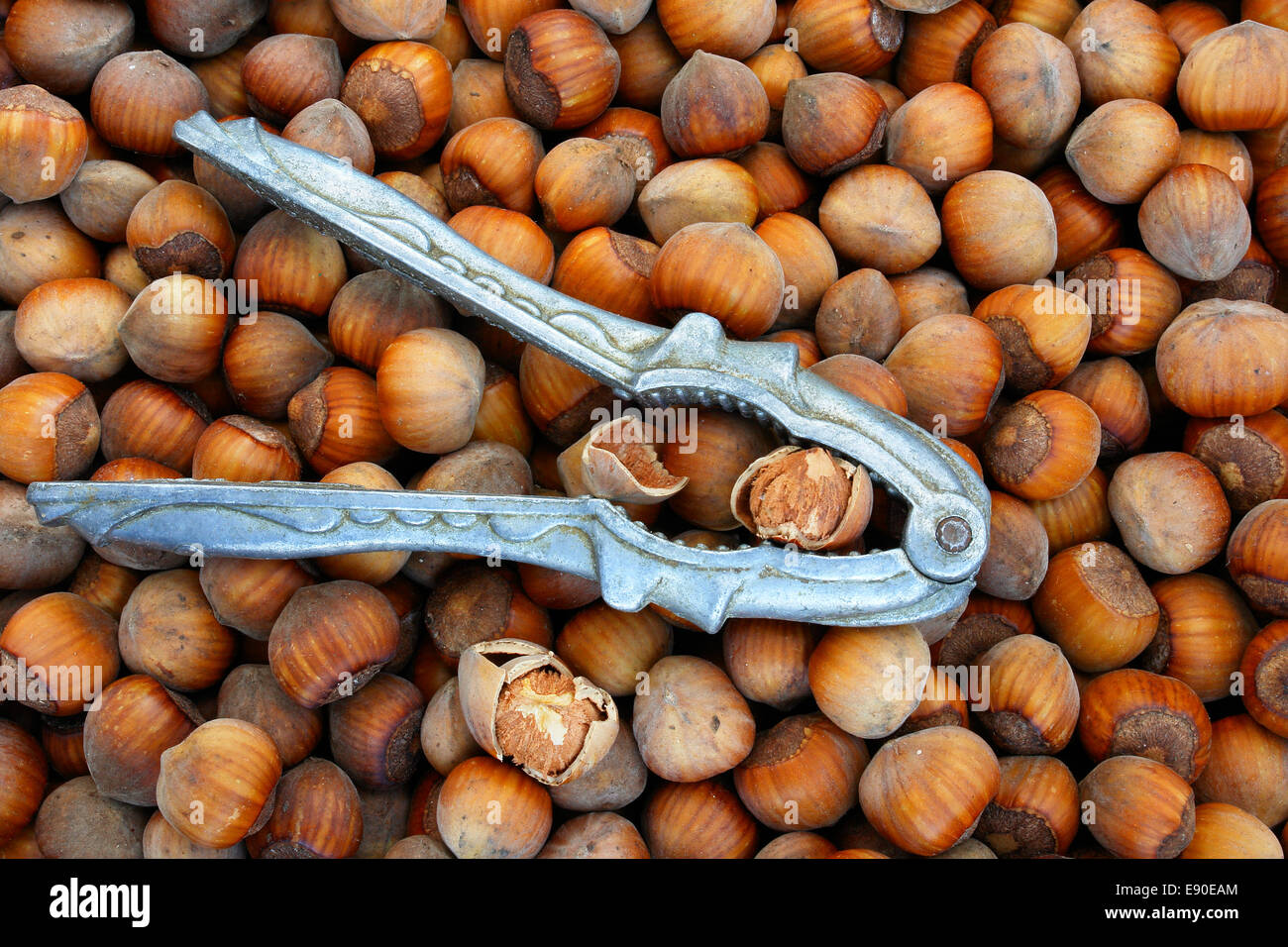Nutcracker with hazelnuts Stock Photo - Alamy