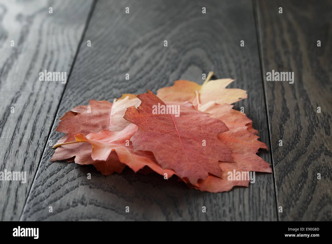autumn red oak leaves on old oak table, rustic style Stock Photo - Alamy