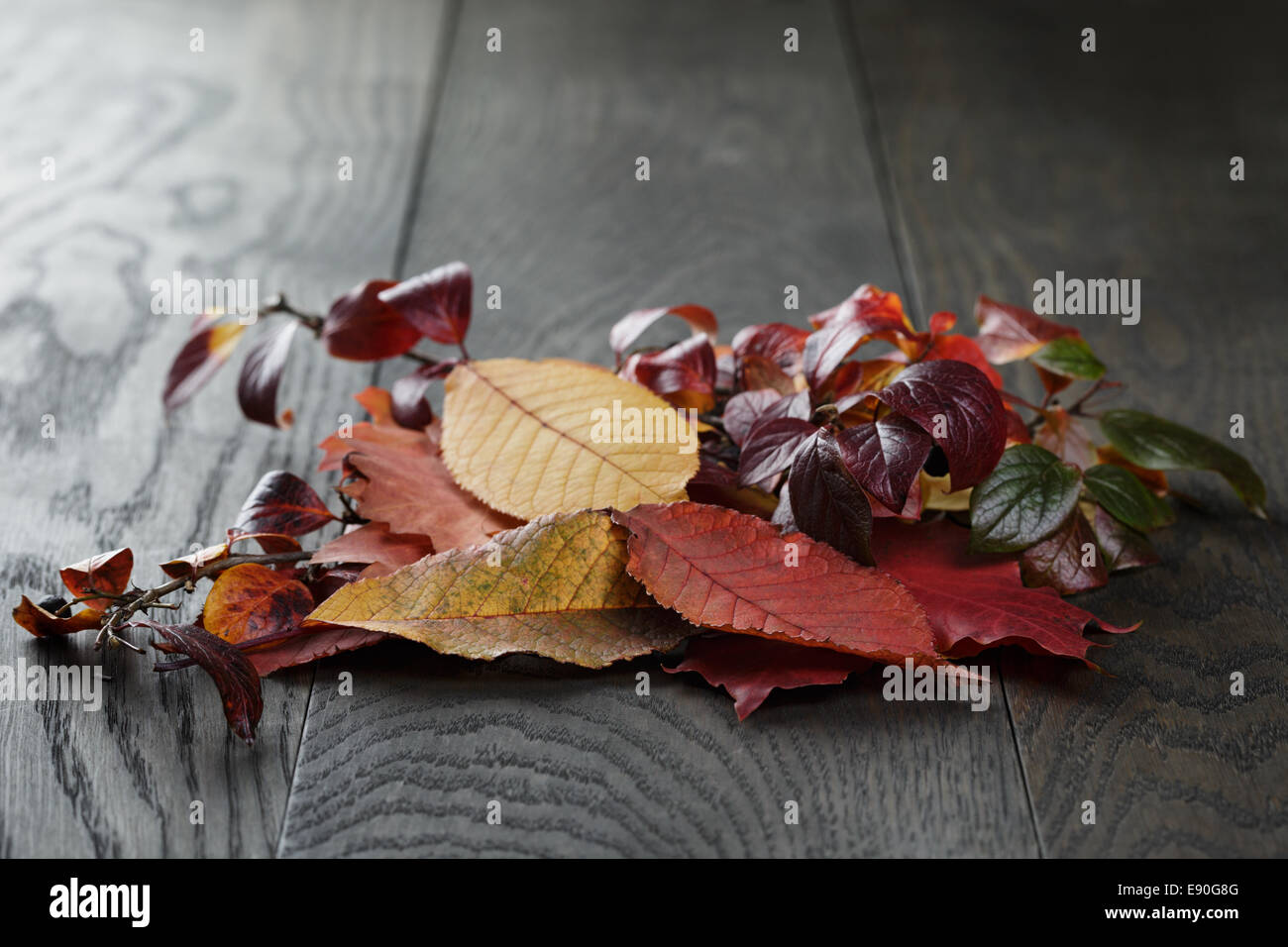 autumn leaves on old oak table, rustic style Stock Photo - Alamy