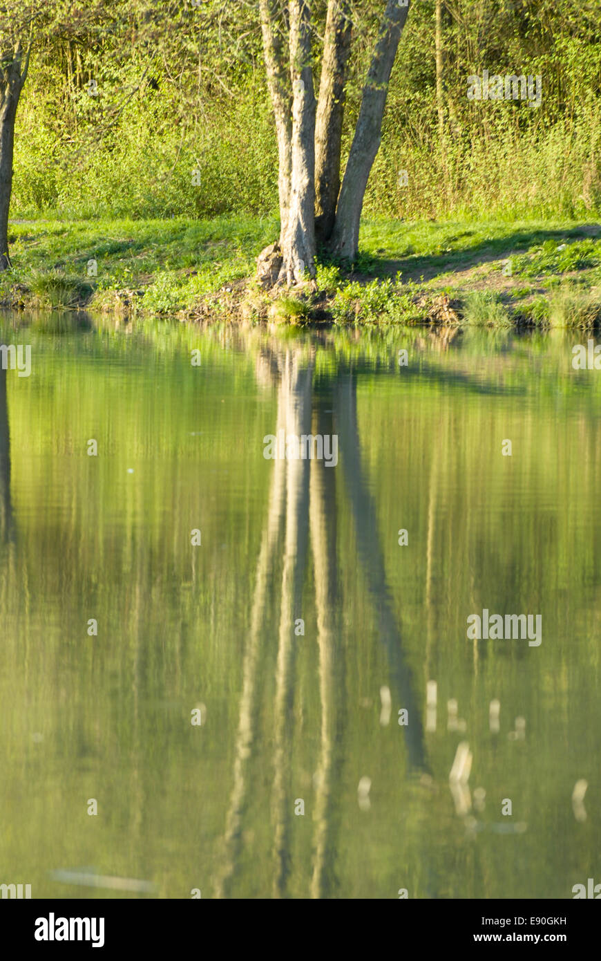 2007 spring hi-res stock photography and images - Alamy