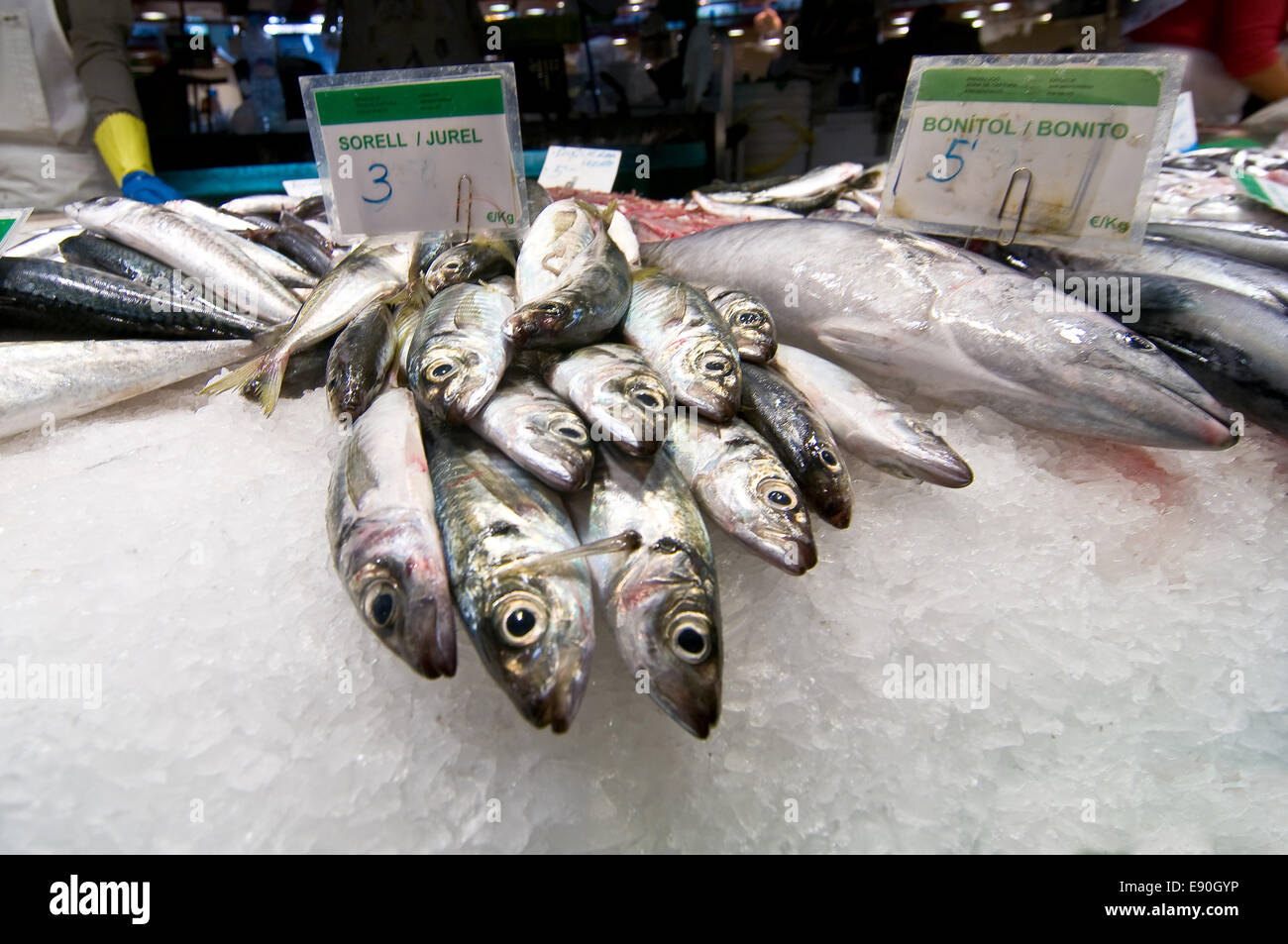 fresh fish at a fish market Stock Photo - Alamy