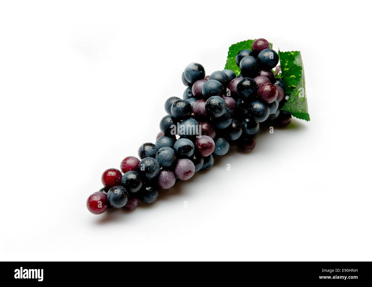 Lila blatt Cut Out Stock Images & Pictures - Alamy