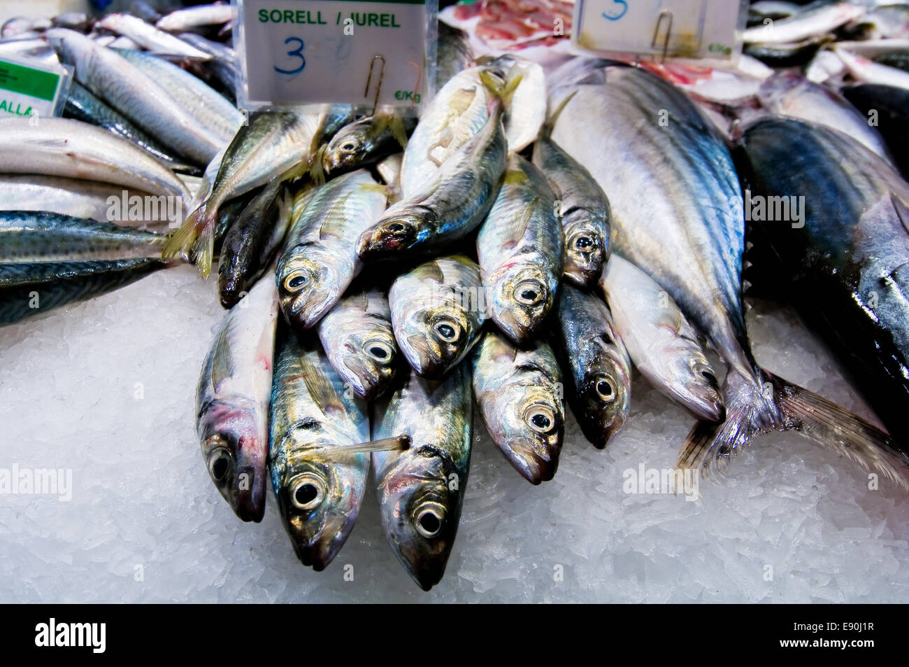 fresh fish at a fish market Stock Photo - Alamy