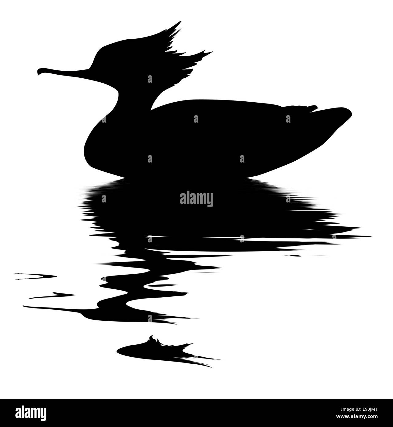 Sea fish on white Black and White Stock Photos & Images - Alamy