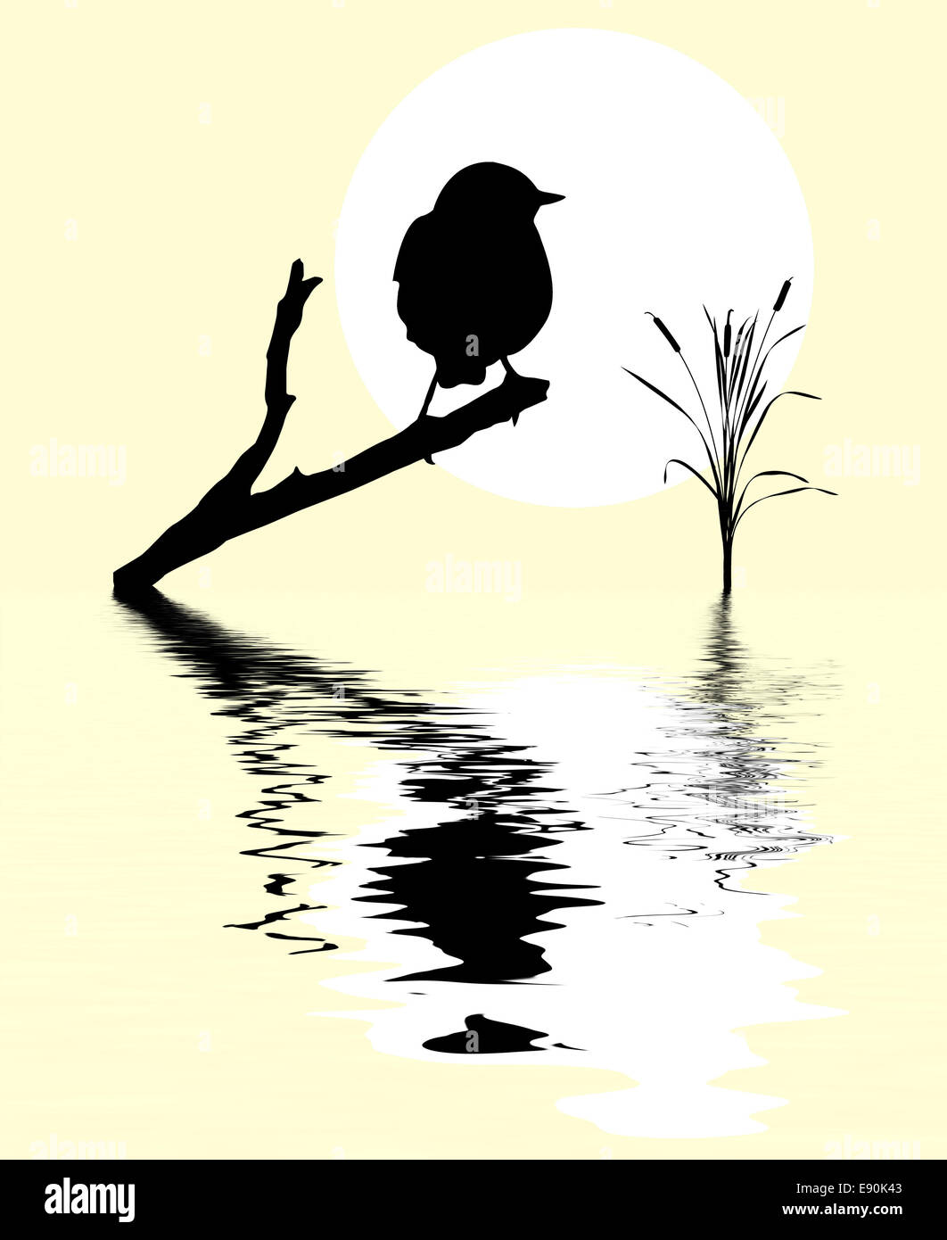 Small round bird hi-res stock photography and images - Alamy