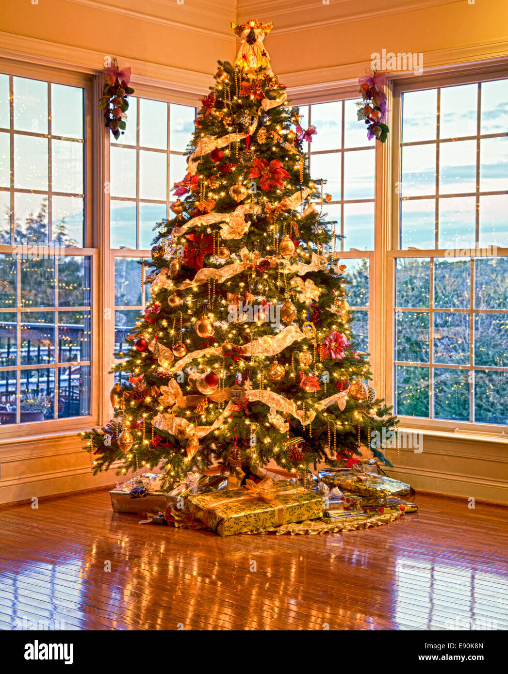 Beautiful xmas tree at dusk Stock Photo - Alamy