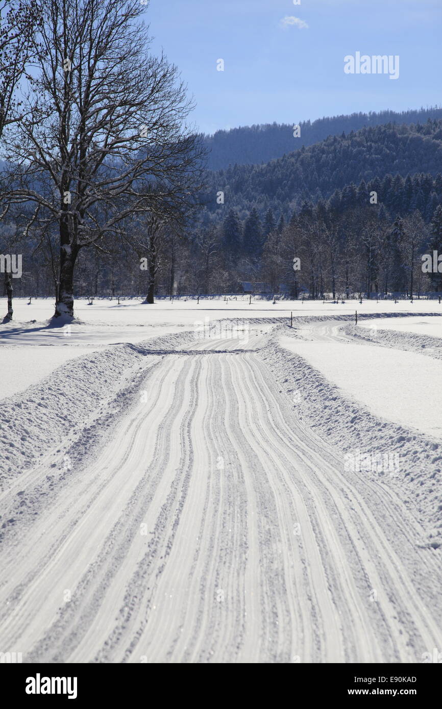 cross country ski run Stock Photo - Alamy