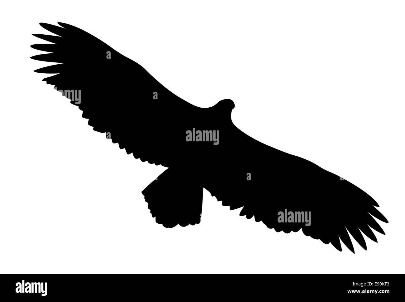 009 Cut Out Stock Images & Pictures - Alamy