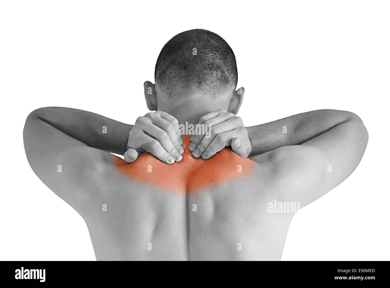 Anatomy of the neck hi-res stock photography and images - Alamy