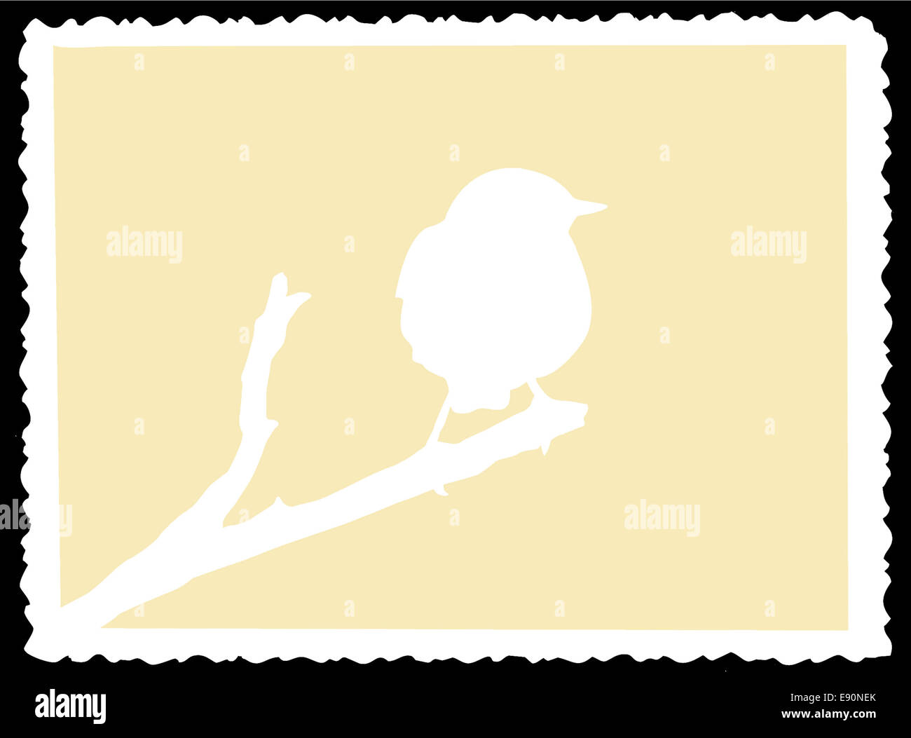 Bird photo frame hi-res stock photography and images - Alamy