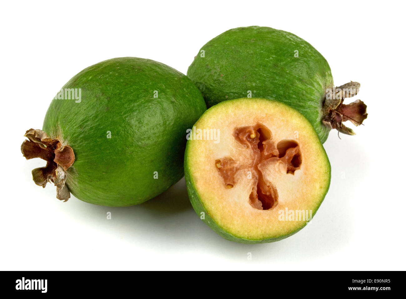 Feijoa plant hi-res stock photography and images - Alamy