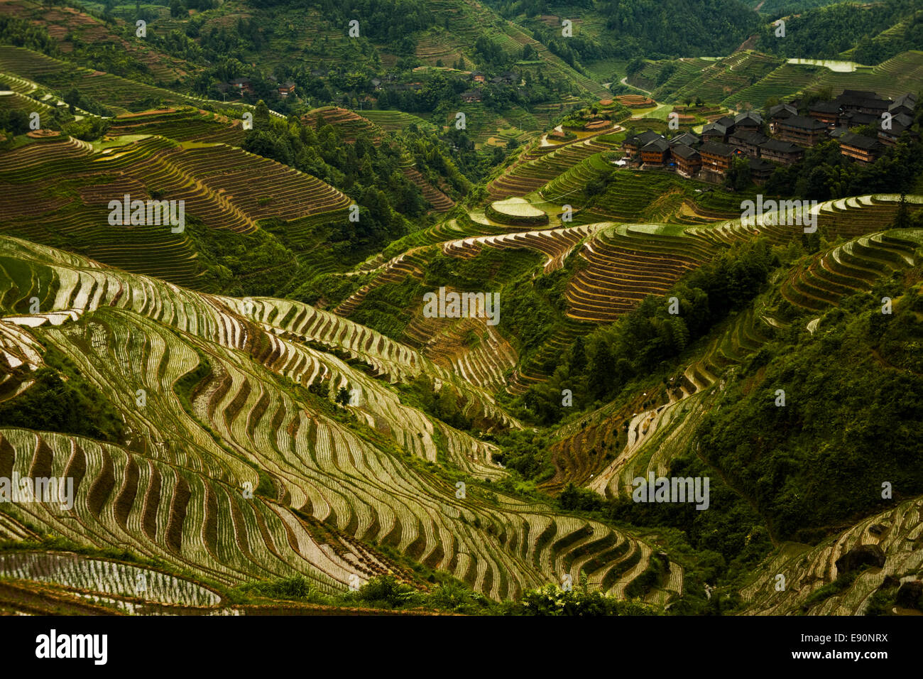 Terrace farming steep hi-res stock photography and images - Alamy