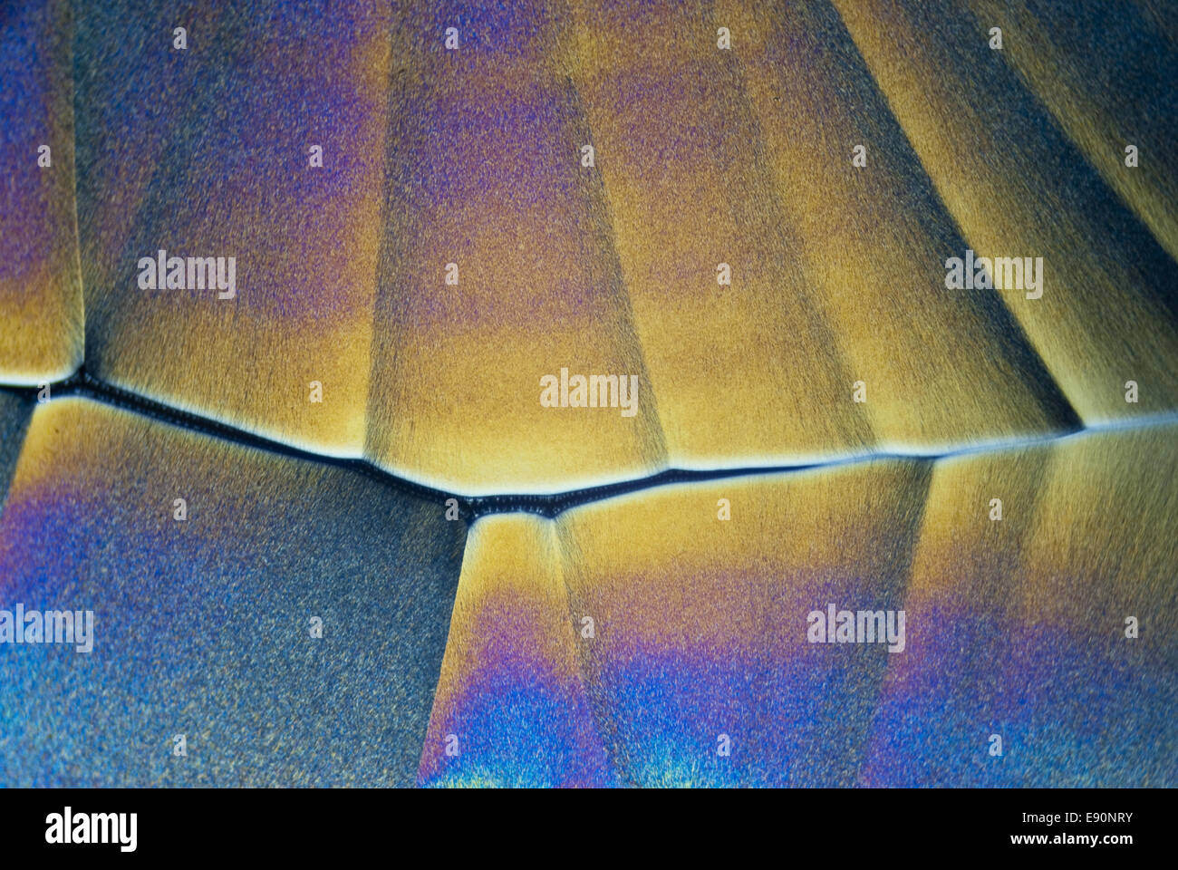 Microcrystals High Resolution Stock Photography and Images - Alamy