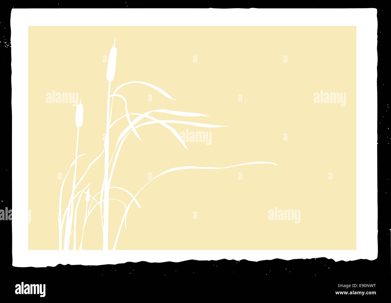 Reed frame hi-res stock photography and images - Alamy